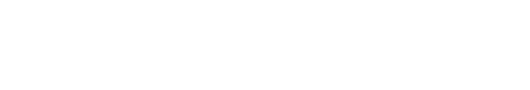 EMHS Area Executive Group – East Metro Health Service